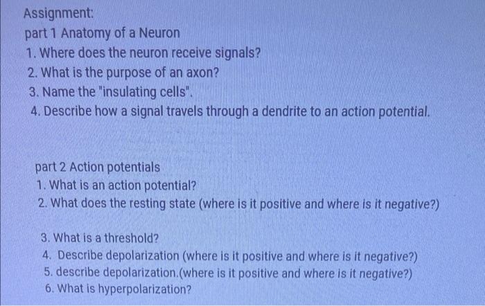 Solved Assignment: part 1 Anatomy of a Neuron 1. Where does | Chegg.com