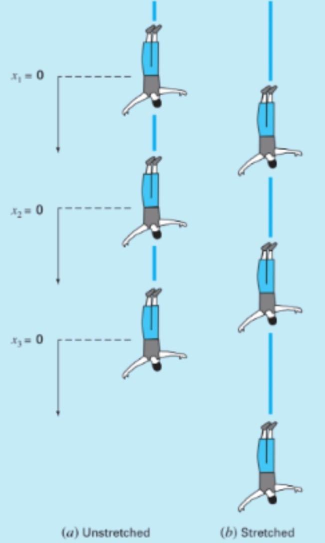 Solved ASSIGNMENT NO. 5 Three linked bungee jumpers are | Chegg.com