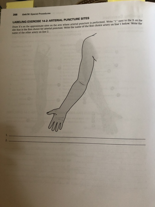 Solved 268 Unit IV: Special Procedures LABELING EXERCISE | Chegg.com