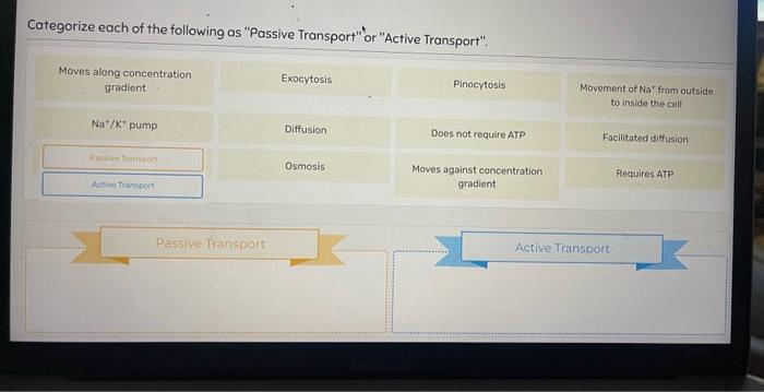 Solved Categorize each of the following as "Passive | Chegg.com