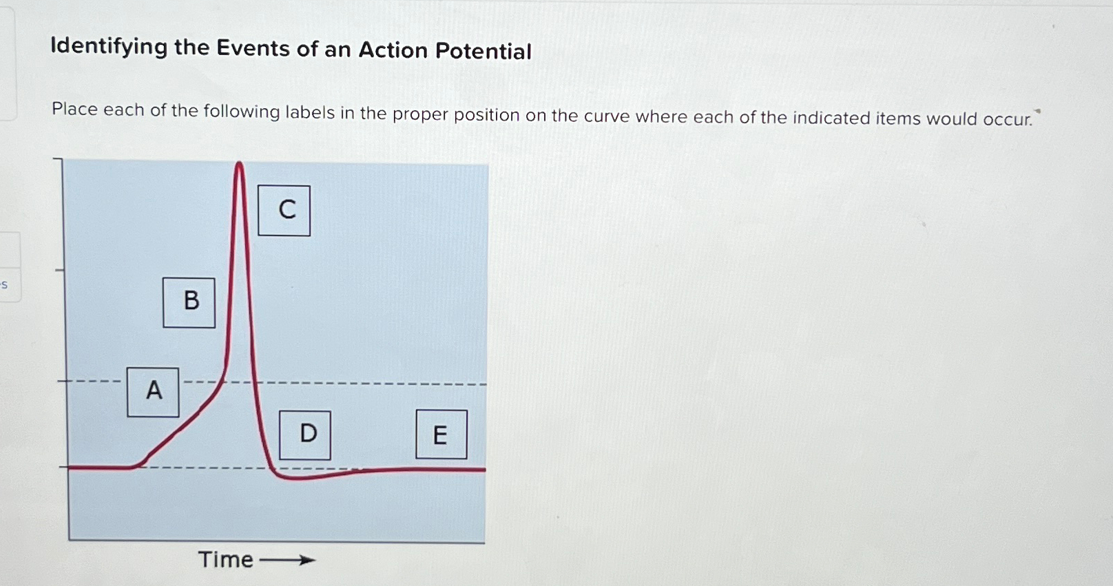 Solved Identifying the Events of an Action PotentialPlace | Chegg.com