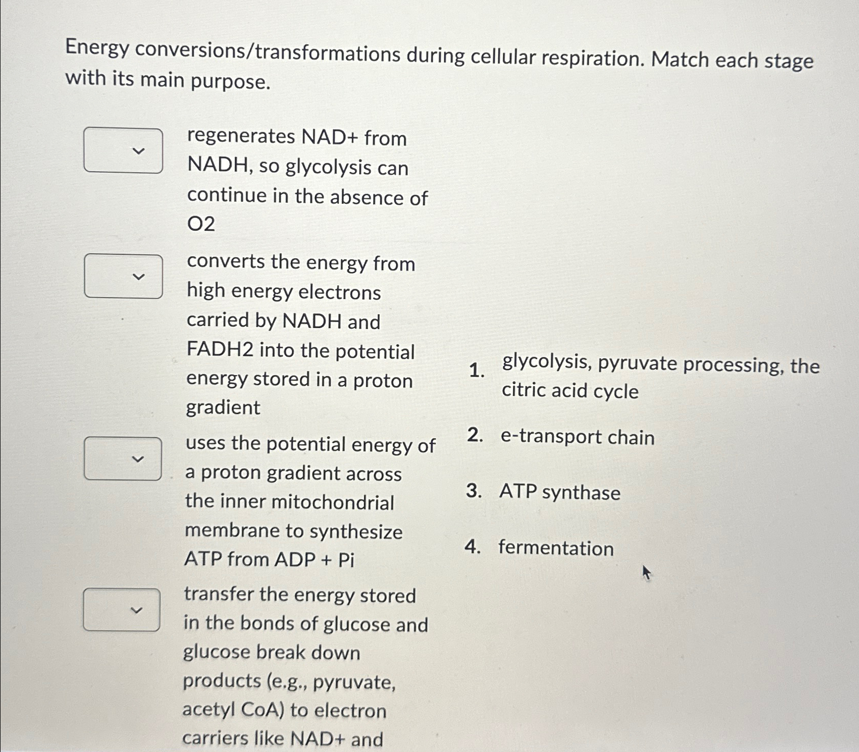 Solved Energy conversions/transformations during cellular | Chegg.com