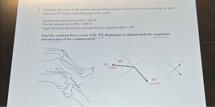 Solved 2. Calculate the force on the patella | Chegg.com
