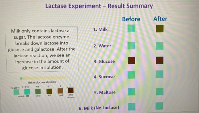 Solved Lactase Experiment This experiment we will test the | Chegg.com