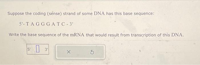 Solved Suppose the template (antisense) strand of some DNA | Chegg.com