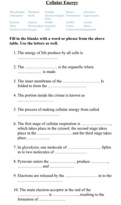 Solved Cellular Energy Mitochondri Thyland Sunlight Strom | Chegg.com