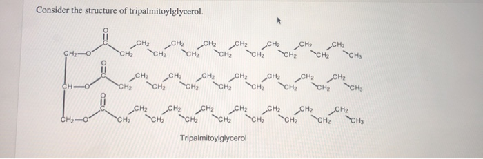 Solved Consider the structure of tripalmitoylglycerol. CH₂ | Chegg.com