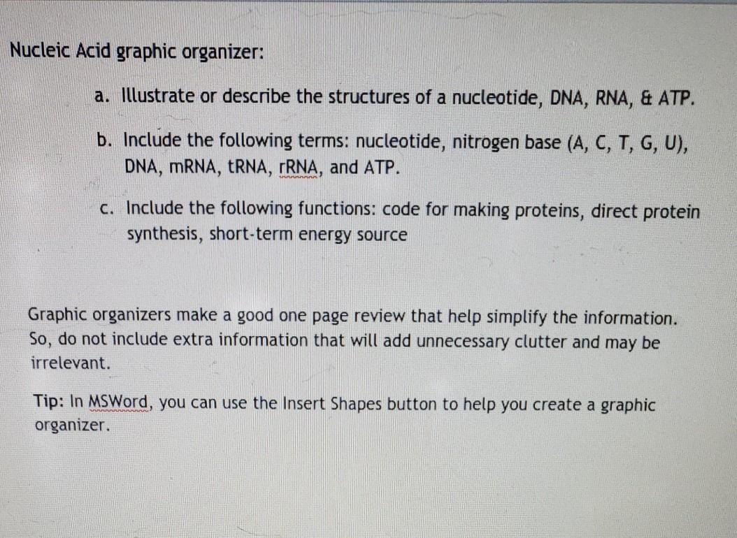 Solved Nucleic Acid Graphic Organizer Assignment Objective: | Chegg.com