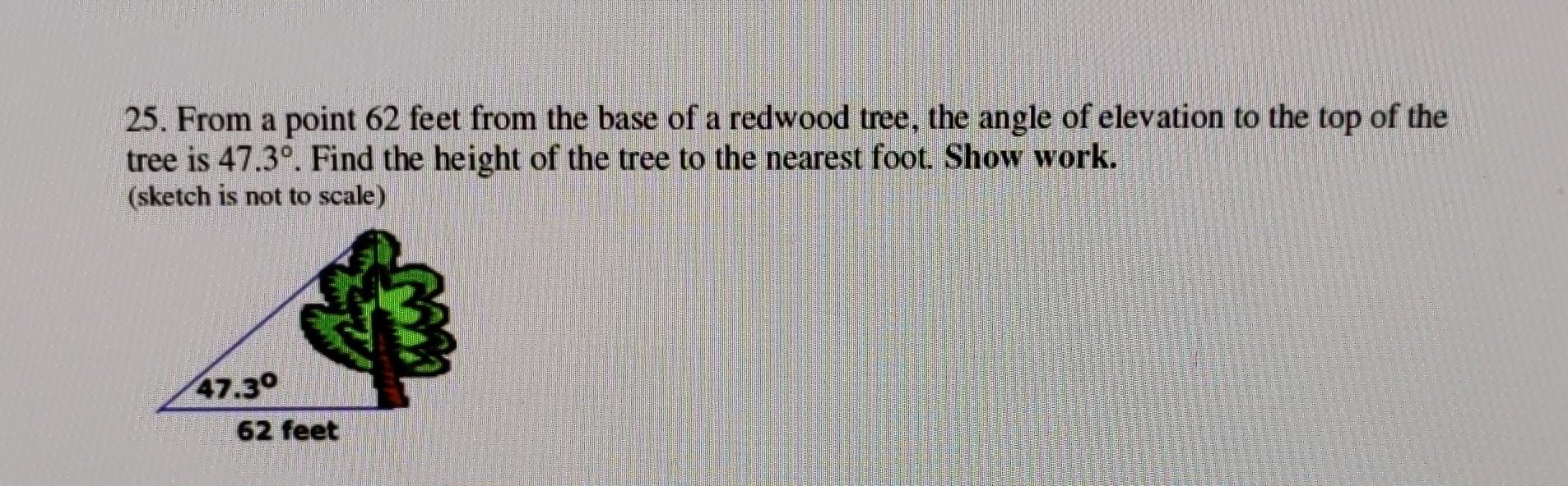 Solved 25. From a point 62 feet from the base of a redwood | Chegg.com