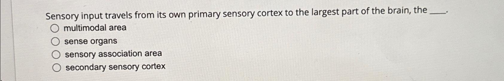 Solved Sensory input travels from its own primary sensory | Chegg.com