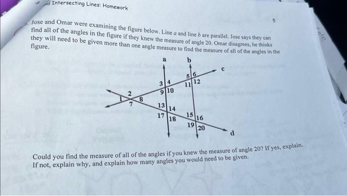 Solved Jose and Omar were examining the figure below. Line α | Chegg.com