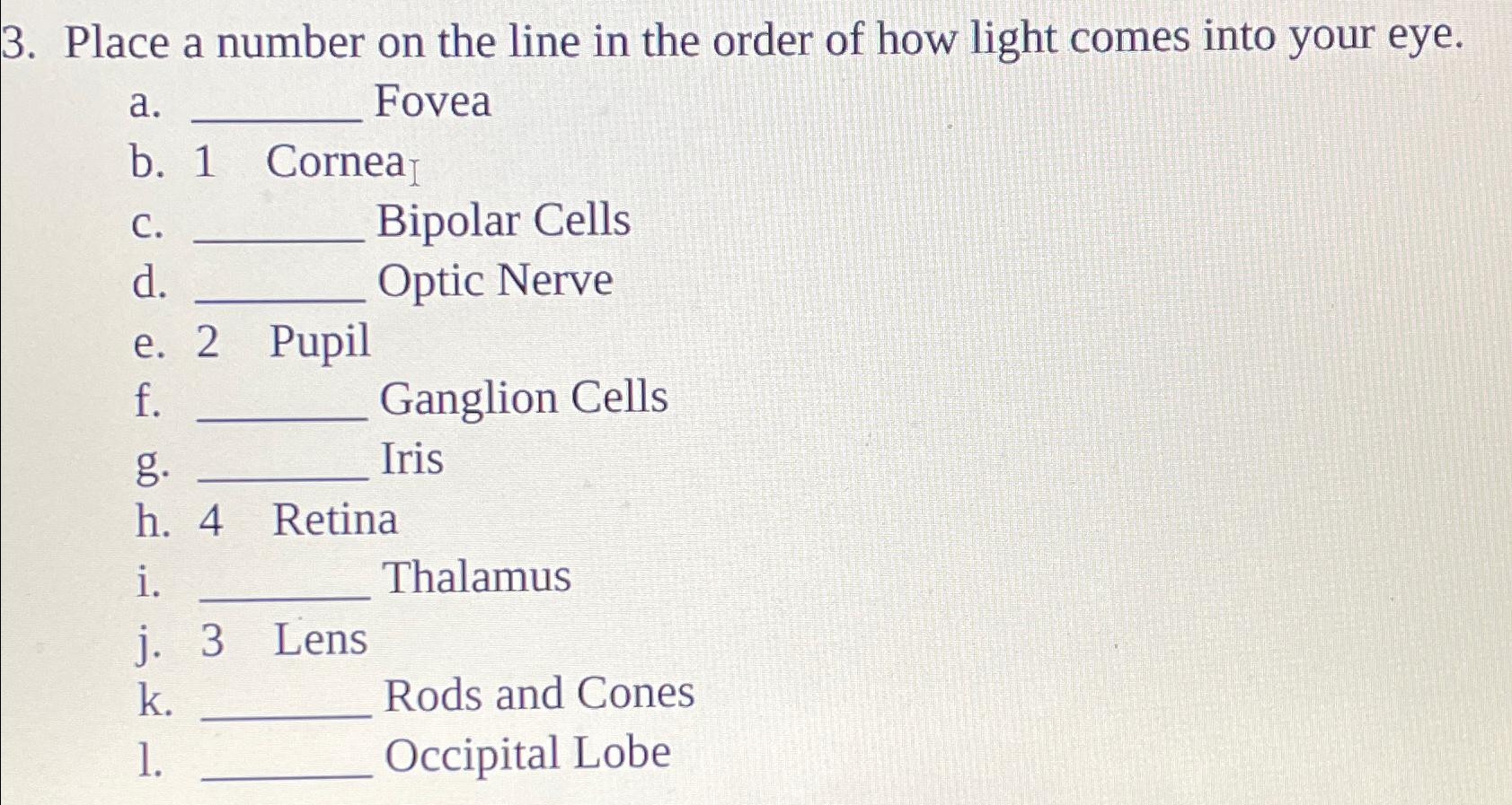 Solved Place a number on the line in the order of how light | Chegg.com