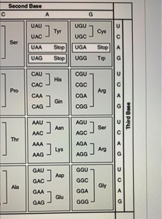 Solved Which of the following sequences of nucleotides are | Chegg.com