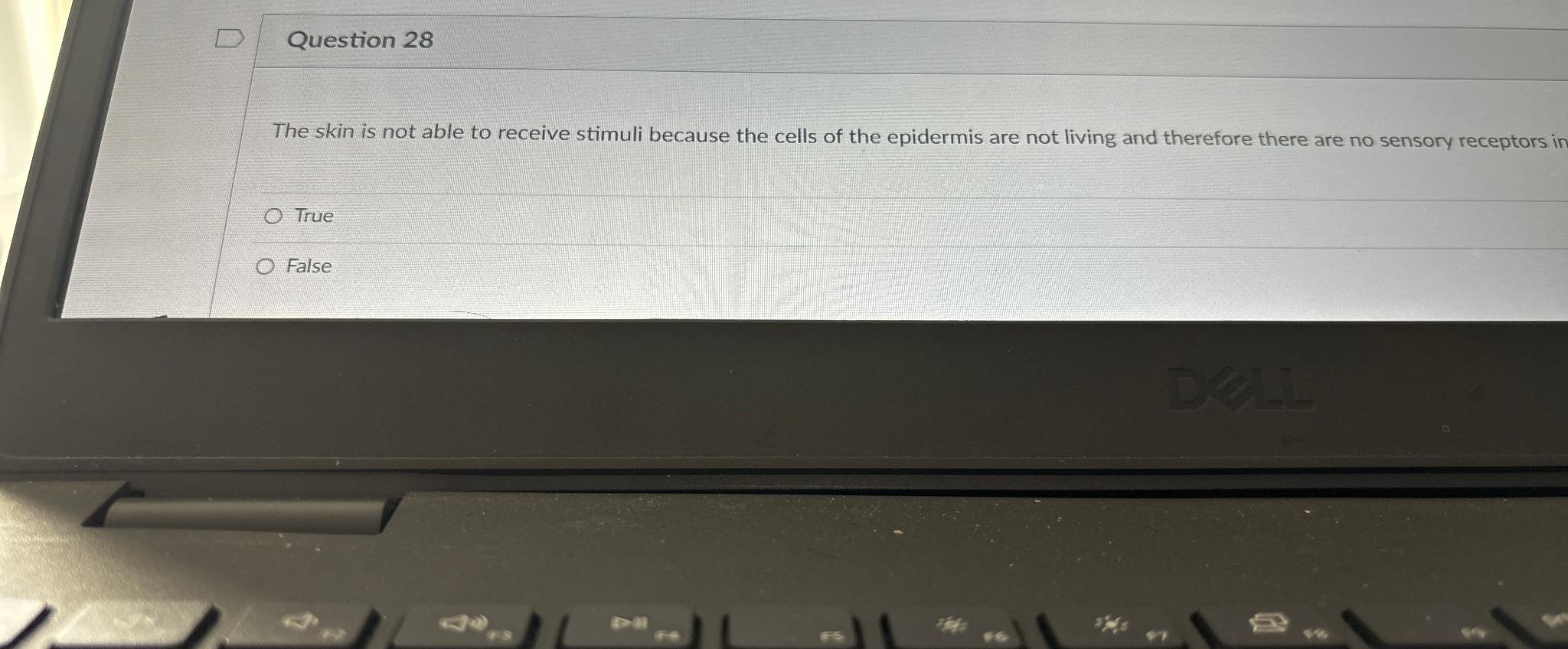 Solved Question 28The skin is not able to receive stimuli | Chegg.com