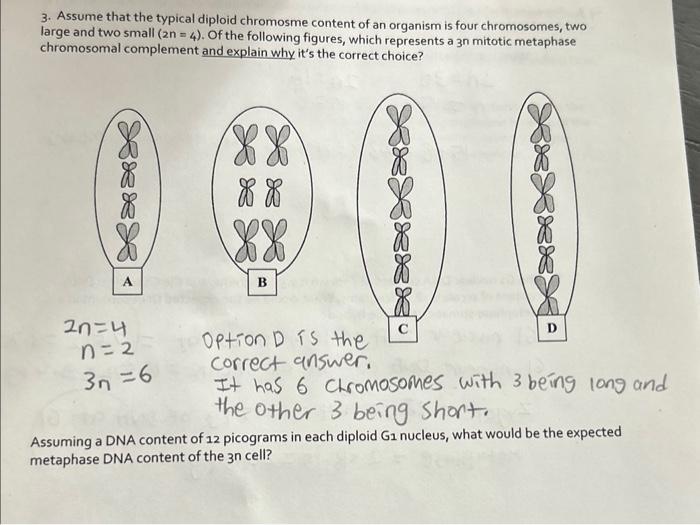 Solved 3. Assume that the typical diploid chromosme content | Chegg.com