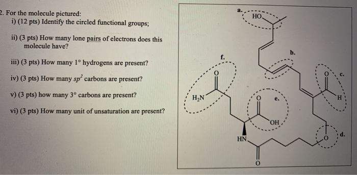 Solved 2. For the molecule pictured: i) (12 pts) Identify | Chegg.com
