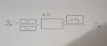 Solved How to solve this synthesis of amines . ﻿explain and | Chegg.com