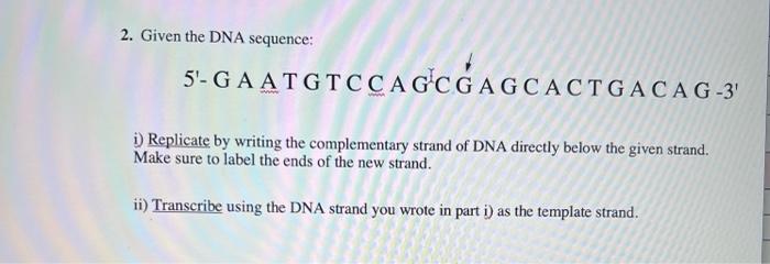 Solved 2. Given the DNA sequence: 5'- | Chegg.com