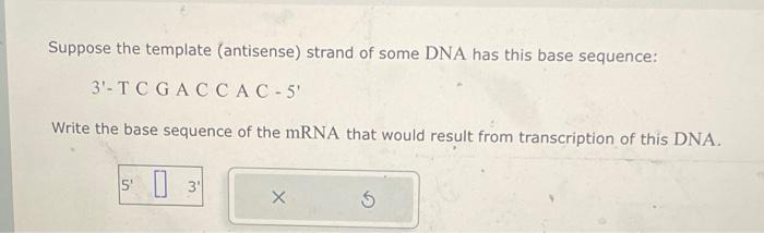 Solved Suppose the template (antisense) strand of some DNA | Chegg.com