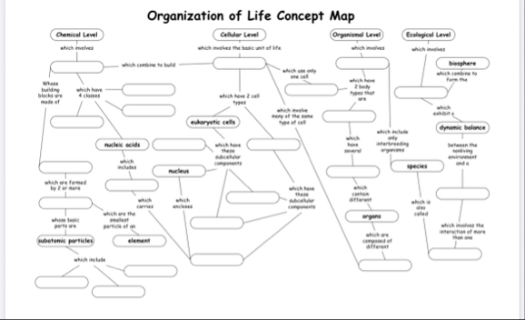 Solved Fill in the circles Organization of Life Concept | Chegg.com