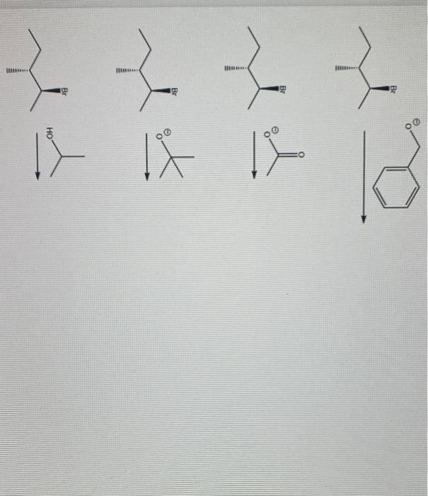 Solved Draw all possible products and identify the major | Chegg.com