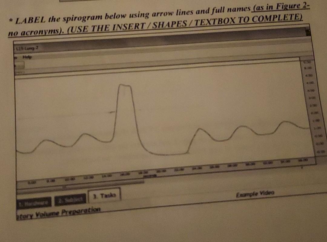 Solved * LABEL the spirogram below using arrow lines and | Chegg.com