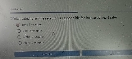 High Quality SOLUTION Qlestian 13Which catecholamine receptor is | Chegg.com