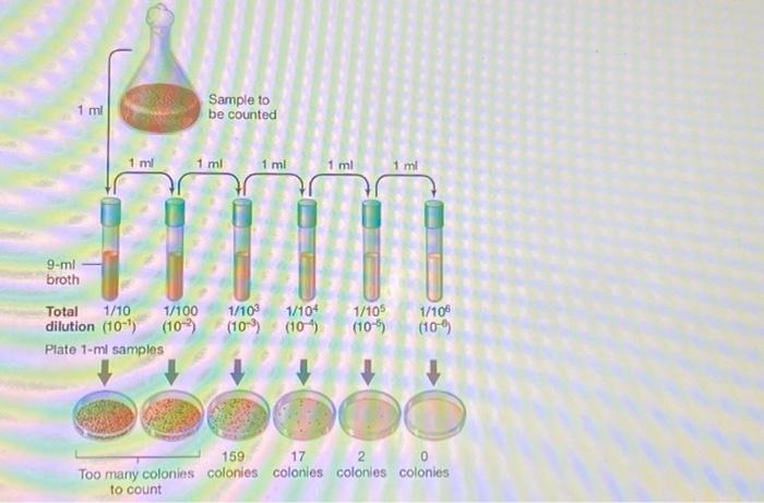 Solved You inoculate a flask of bacterial growth broth to an | Chegg.com