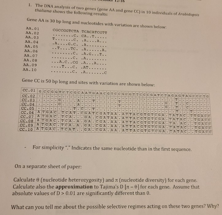 1. The DNA analysis of two genes (gene AA and gene | Chegg.com