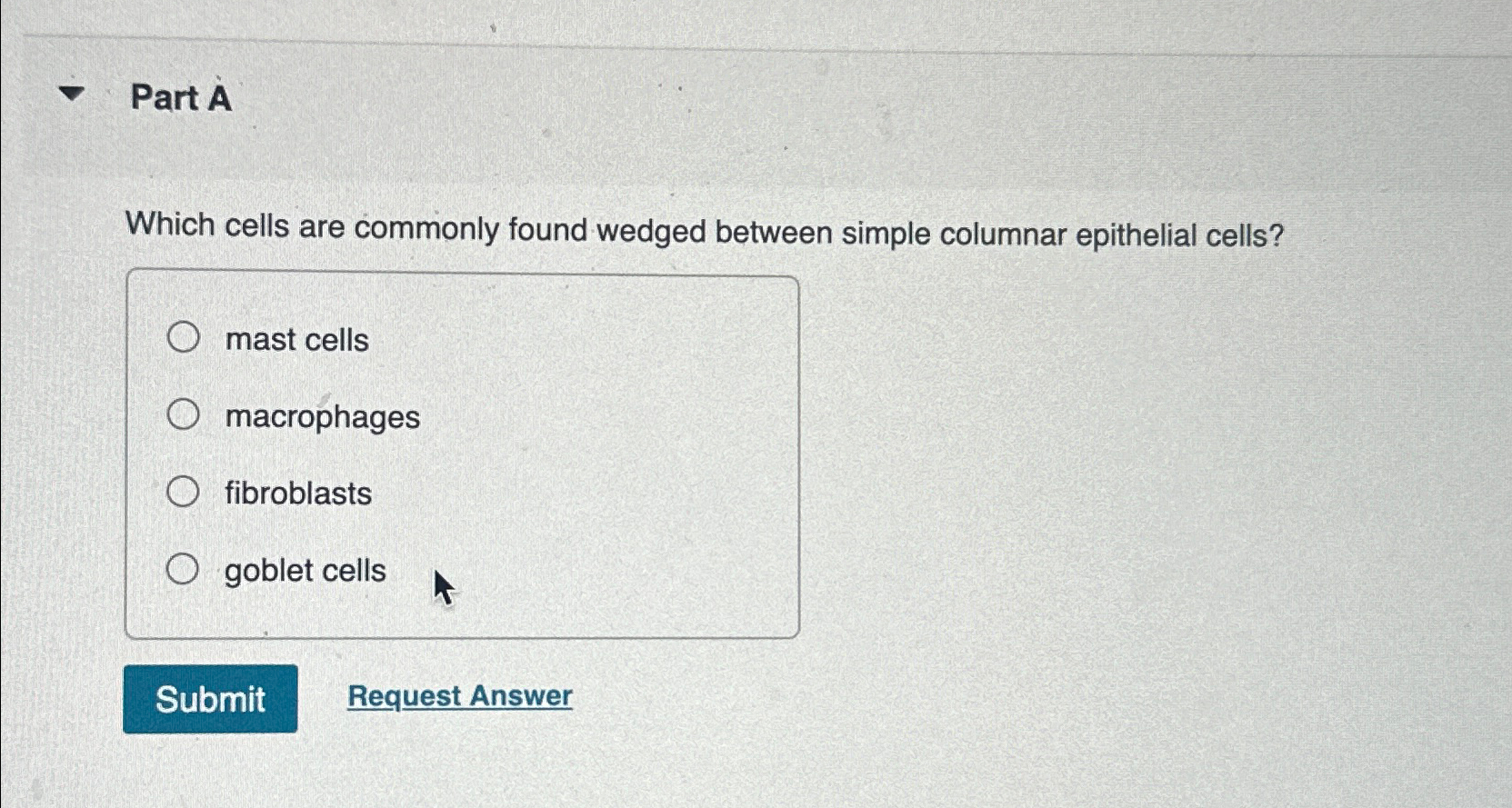 Solved Part AWhich cells are commonly found wedged between | Chegg.com