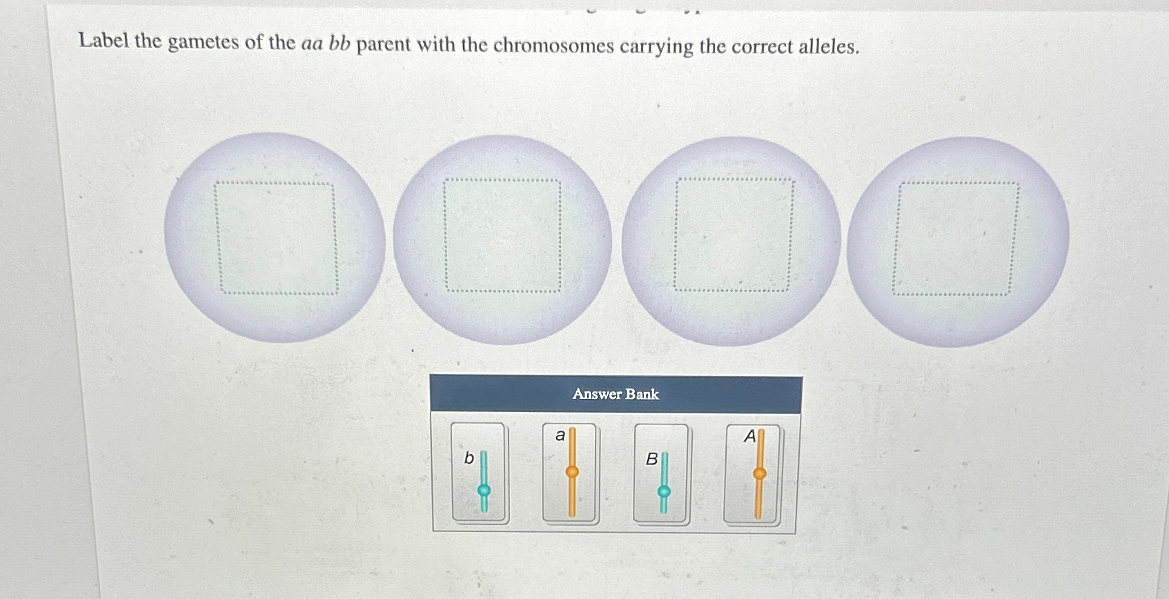 Solved Label the gametes of the aabb parent with the | Chegg.com