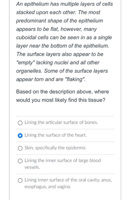 Solved An epithelium has multiple layers of cells stacked | Chegg.com