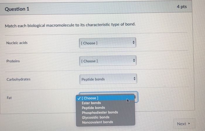 Solved 4 pts Question 1 Match each biological macromolecule | Chegg.com