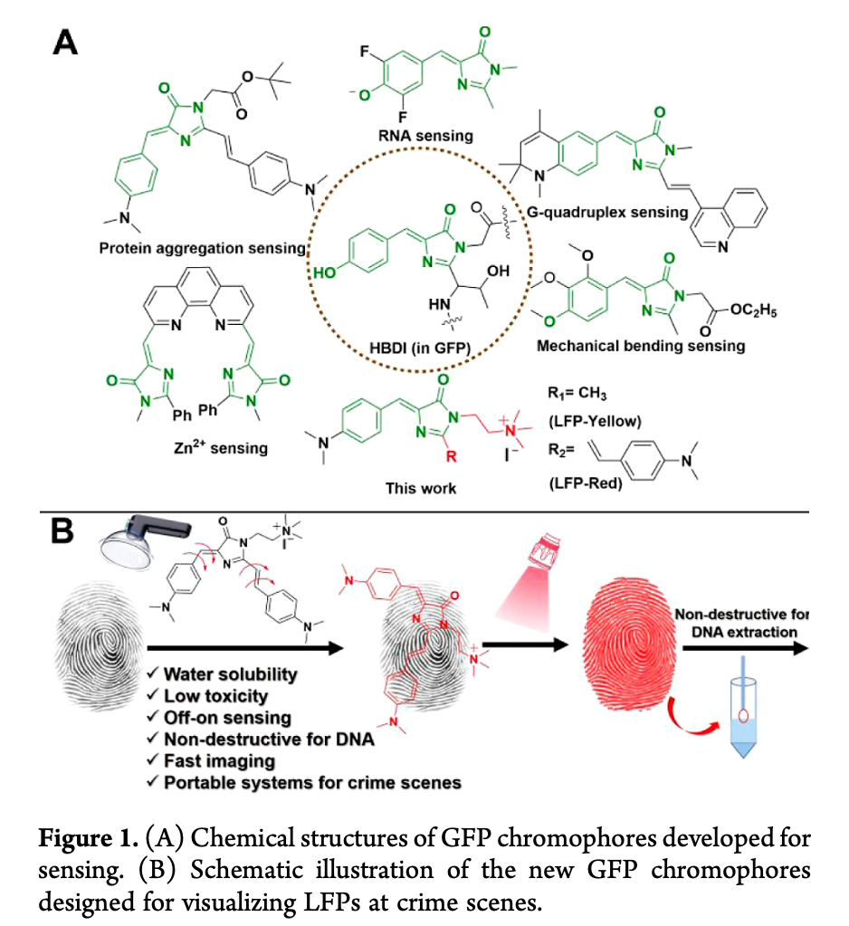 Solved Can you explain what this figure in this image is | Chegg.com