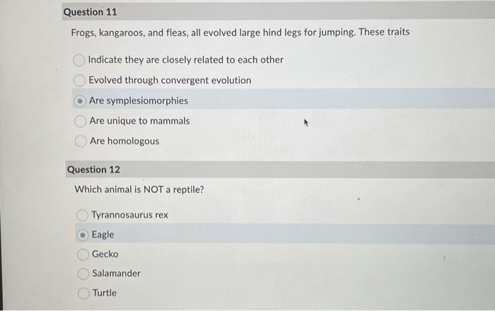 Solved Frogs, kangaroos, and fleas, all evolved large hind | Chegg.com