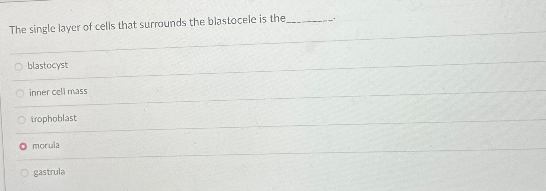 Solved The single layer of cells that surrounds the | Chegg.com