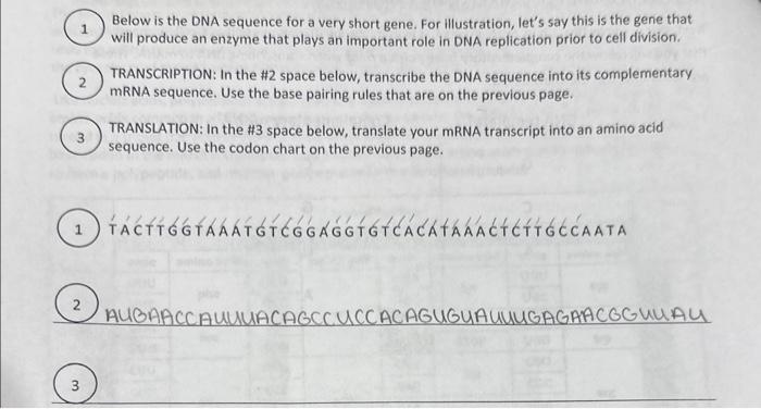 Solved Below is the DNA sequence for a very short gene. For | Chegg.com
