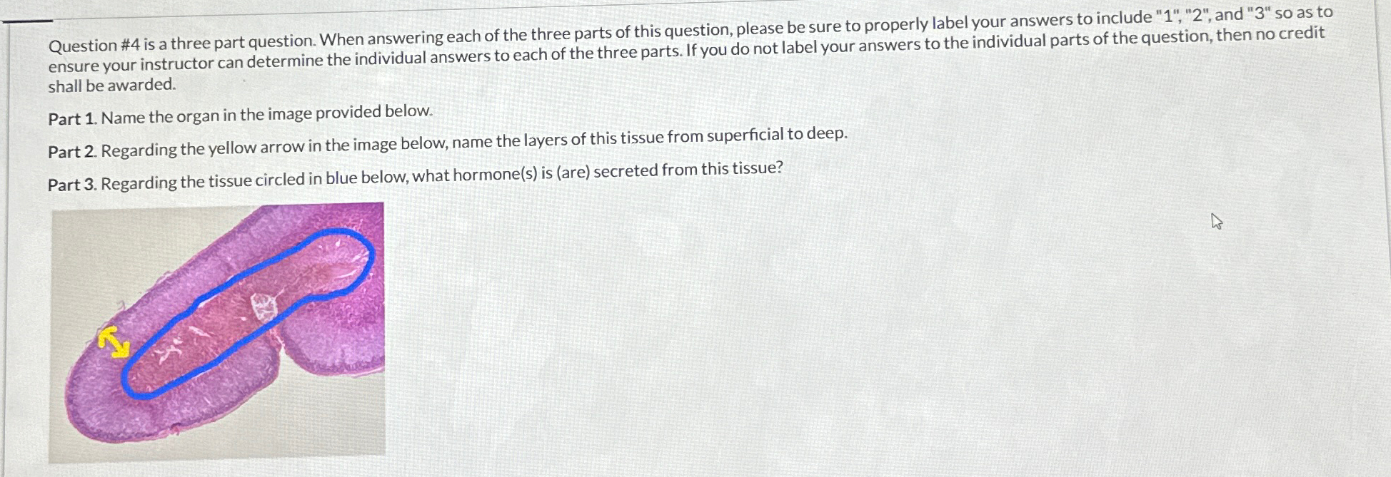 Solved Question #4 ﻿is a three part question. When answering | Chegg.com
