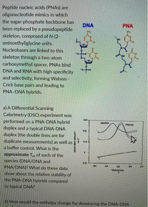 Solved DNA PNA Peptide nucleic acids (PNAs) are | Chegg.com
