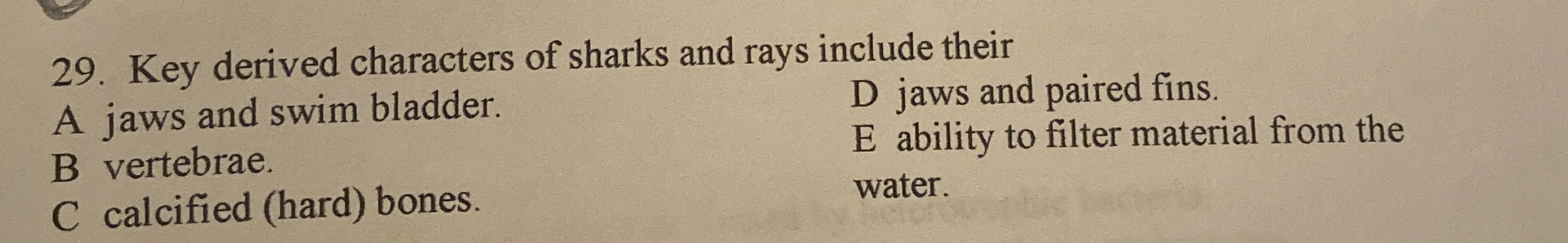 Solved Key derived characters of sharks and rays include | Chegg.com