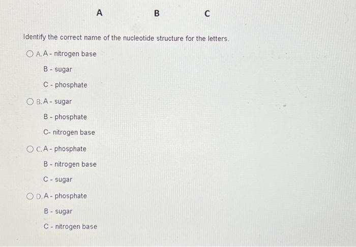 Solved Question 1Identify the correct name of the nucleotide | Chegg.com
