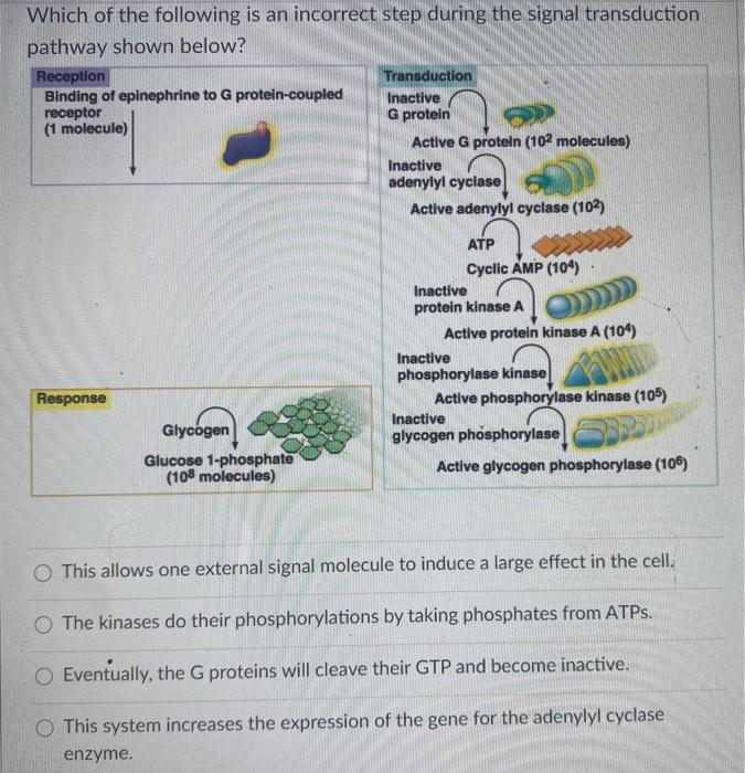 Solved Which of the following is an incorrect step during | Chegg.com