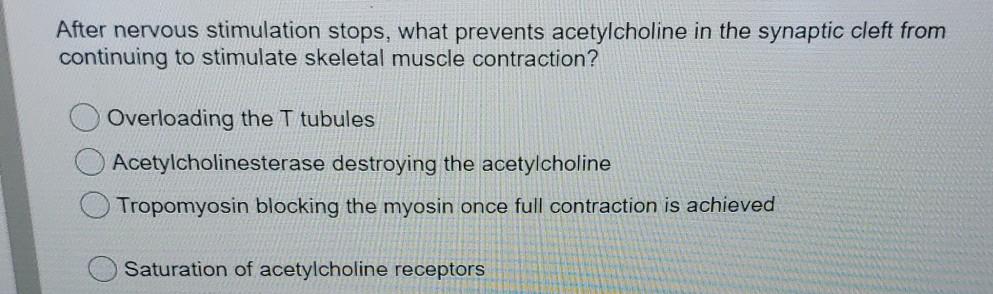Solved After nervous stimulation stops, what prevents | Chegg.com