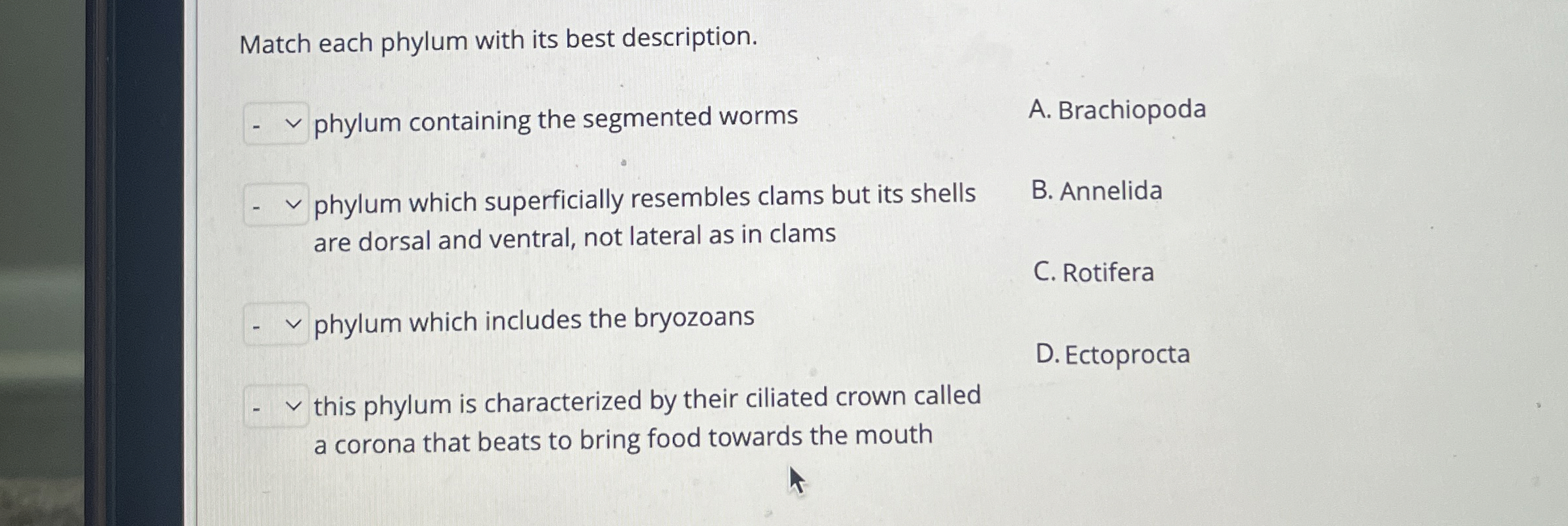 Solved Match each phylum with its best description.phylum | Chegg.com