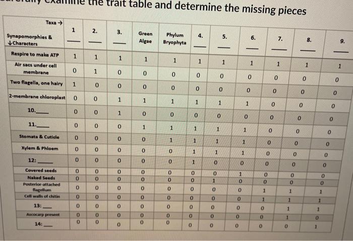 Solved trait table and determine the missing pieces | Chegg.com