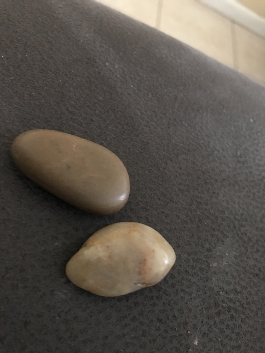 Solved Question | Chegg.com