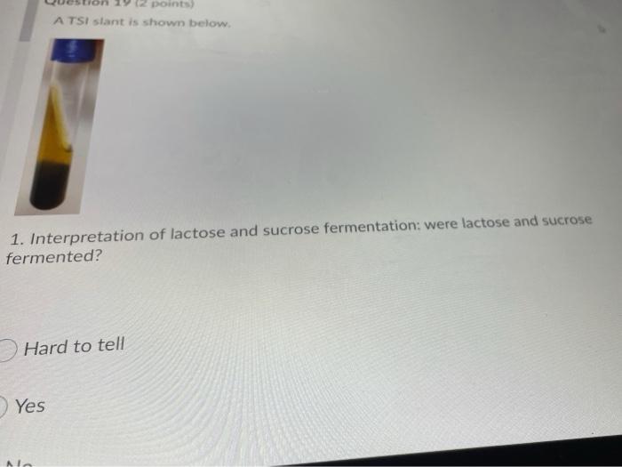 Solved A TSI slant is shown below. Record your OBSERVATIONS | Chegg.com