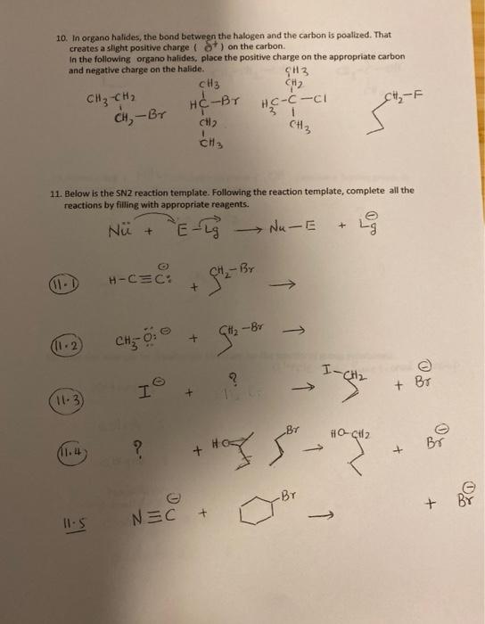Solved 10. In organo halides, the bond between the halogen | Chegg.com
