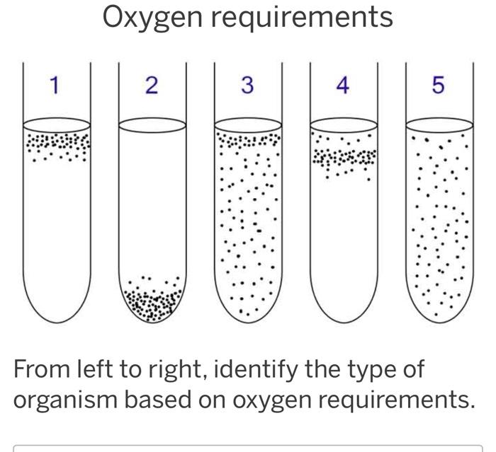 Solved Oxygen requirements From left to right, identify the | Chegg.com