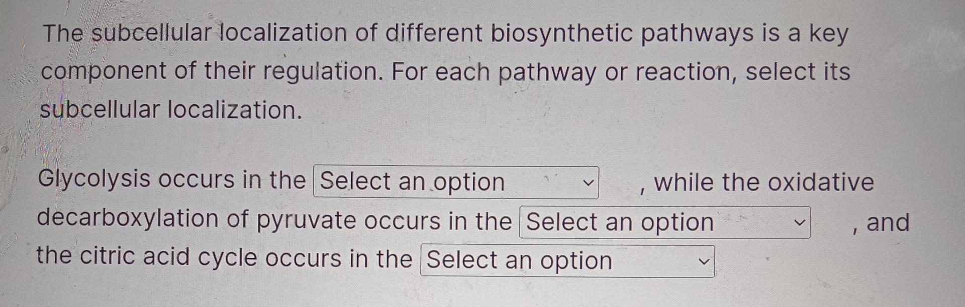 Solved The subcellular localization of different | Chegg.com